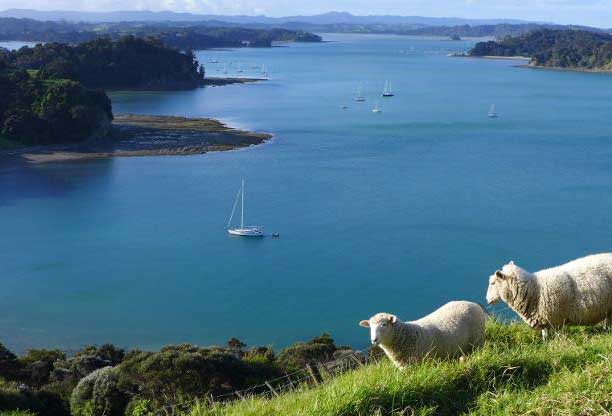 Kawau Island